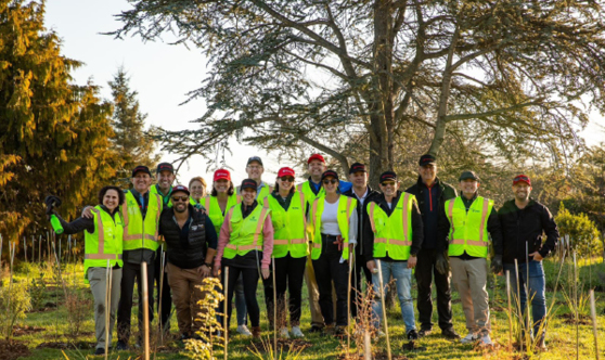 Travel Daily | Digging in for TM trees